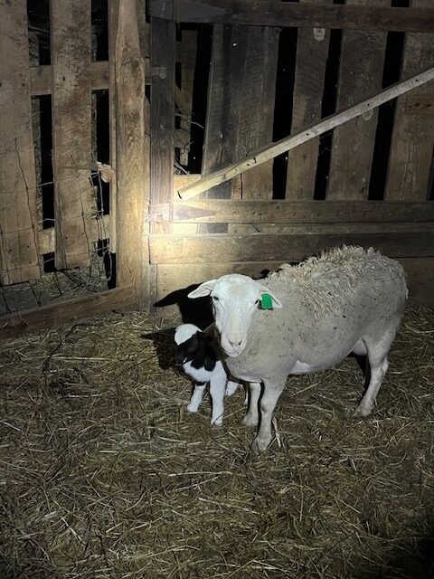 How We Got Started - ashburnhillfarm
